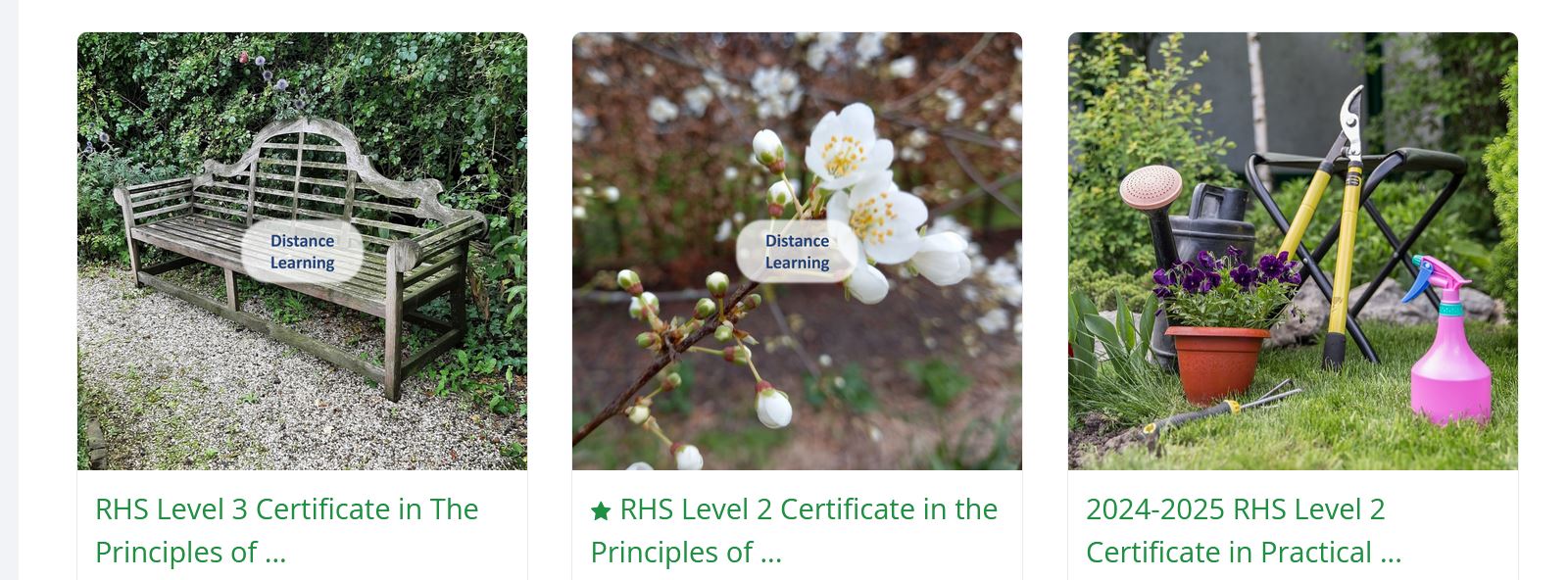 Course: RHS Example Course | bestlearnvle